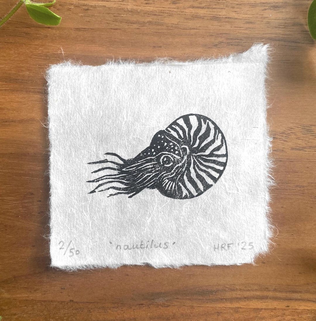 Nautilus Mini Linocut - Ocean Lino Print, Original Animal Art, Marine ...