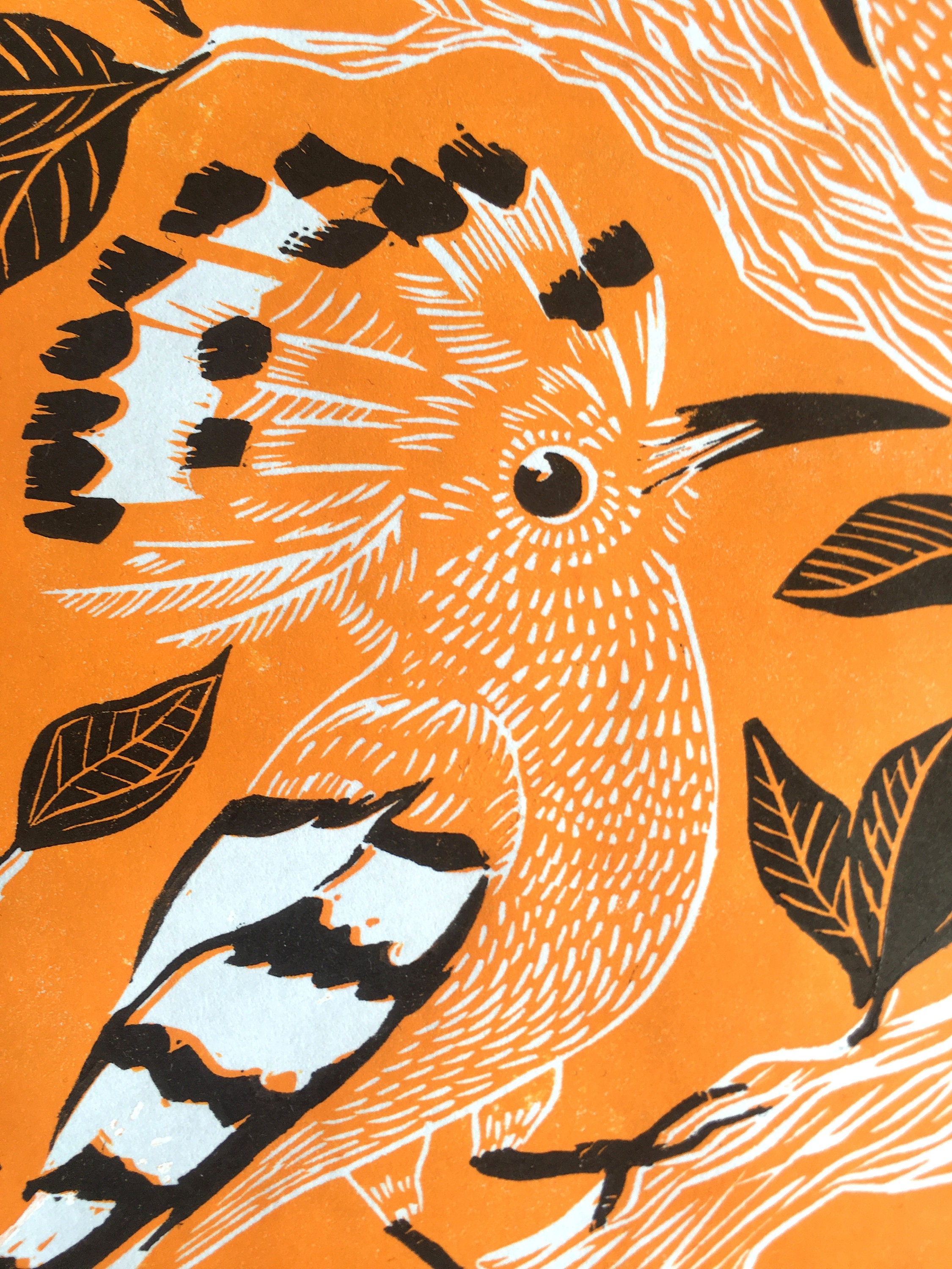 Hoopoes Linocut Print - original lino print bird art, orange and black ...