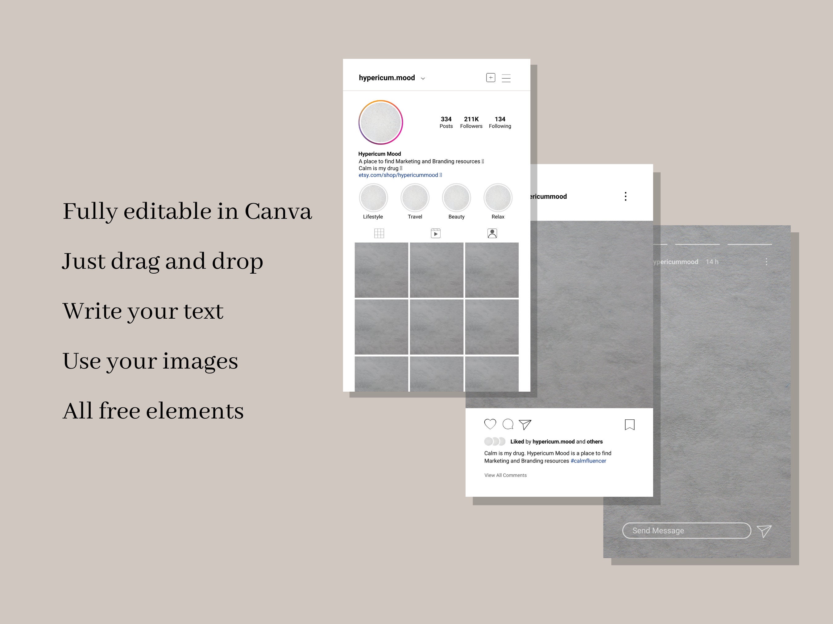 Instagram Template Profile Mockup Editable in Canva, Social Media ...