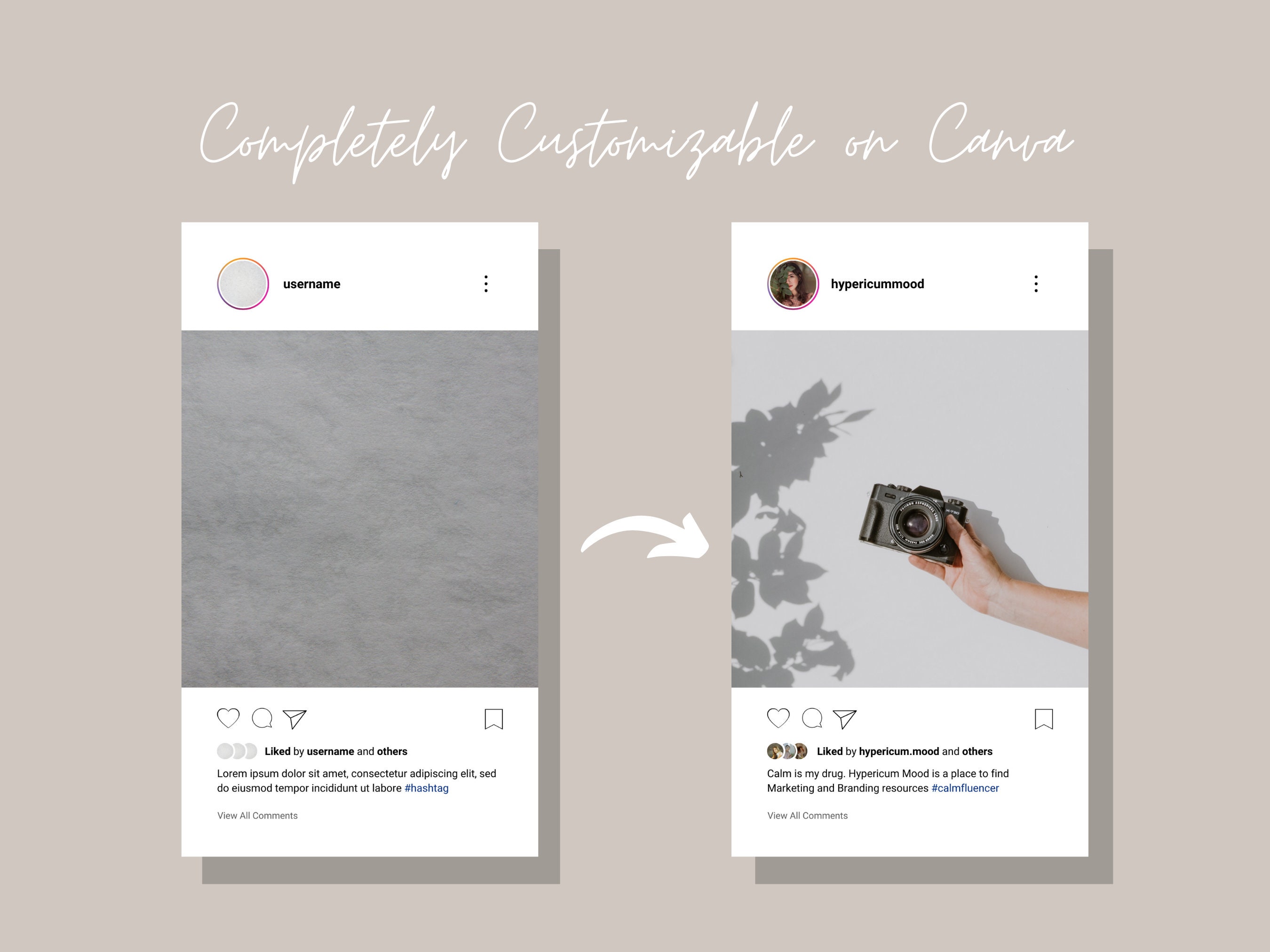 Instagram Template Profile Mockup Editable in Canva, Social Media ...