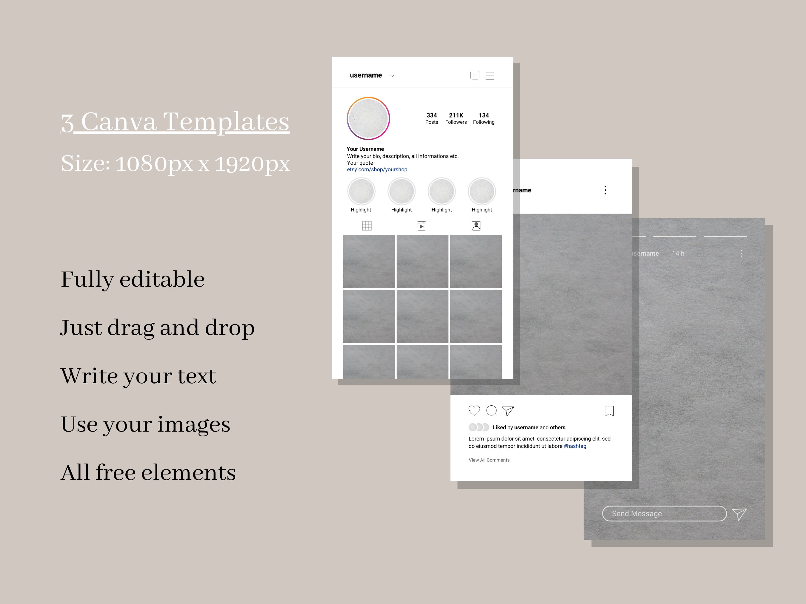 Instagram Template Profile Mockup Editable in Canva, Social Media ...