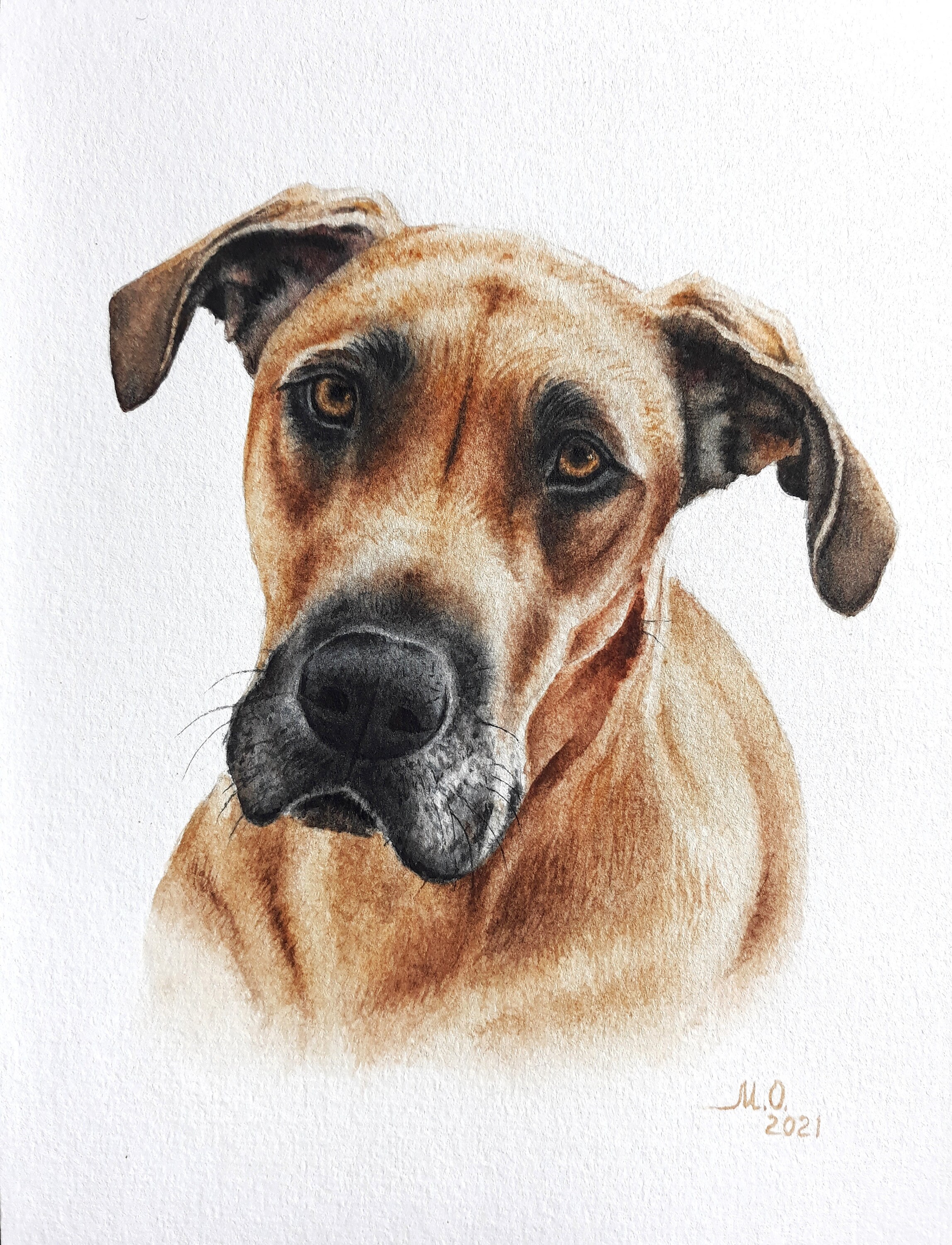 Multiple Dog Portrait Painting From Photo Watercolor, Custom Dog ...