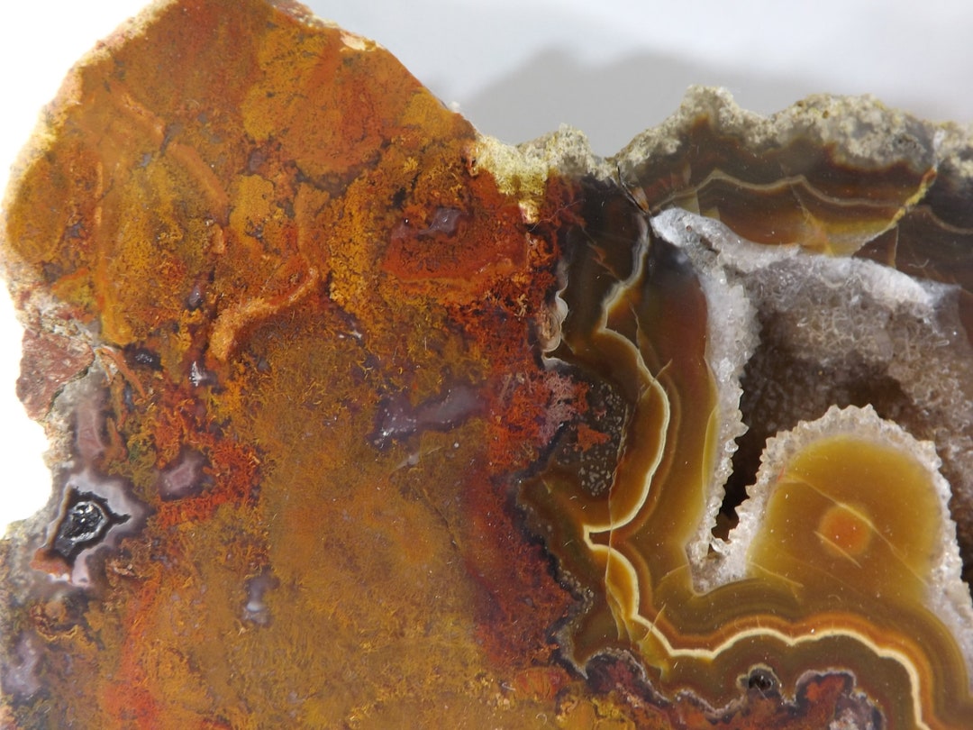 Mexican Agate Polished Display Specimen, an Agua Nueva Geode With Moss ...