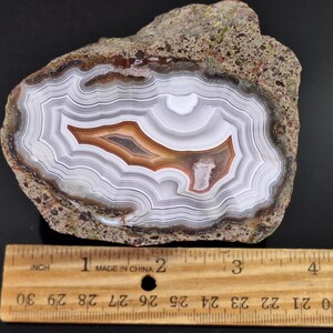 Mexican Laguna Agate, Alianza Claim, Polished Display Specimen, Full ...