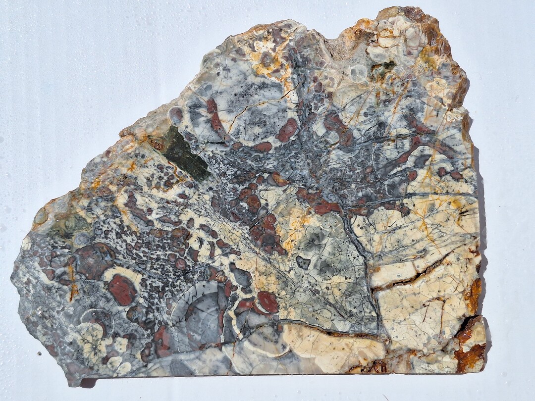 Orbicular Rhyolite Unpolished Lapidary Slab, Near Hwy 46, Cambria ...