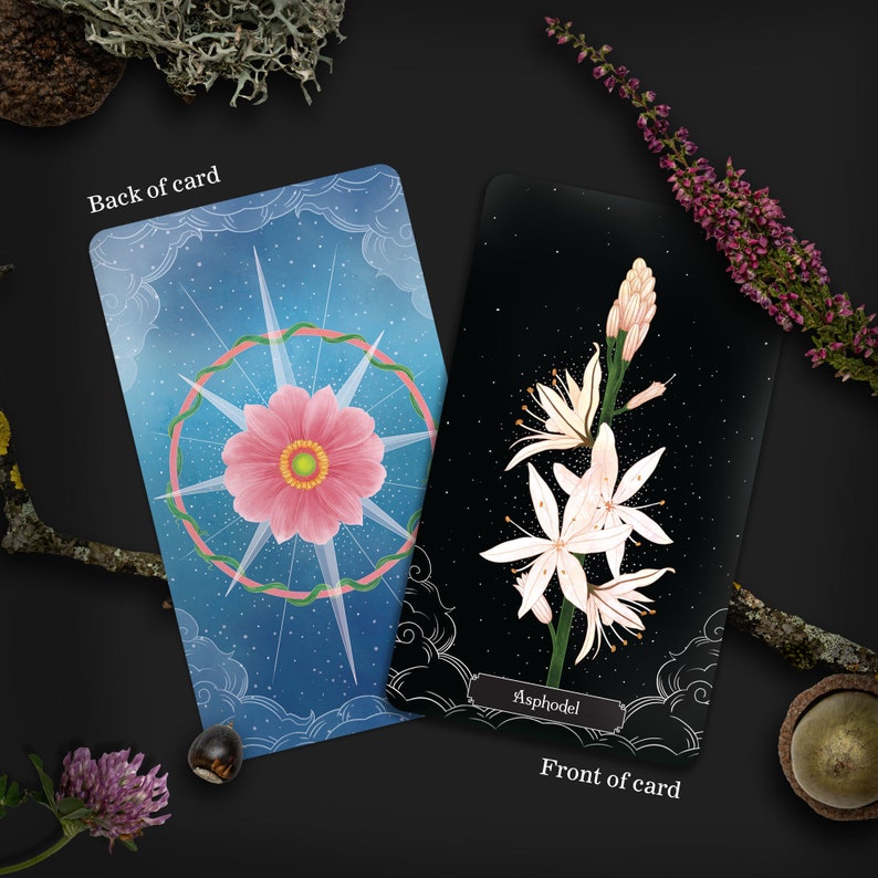 A Little Rain Botanical Oracle Deck - Etsy