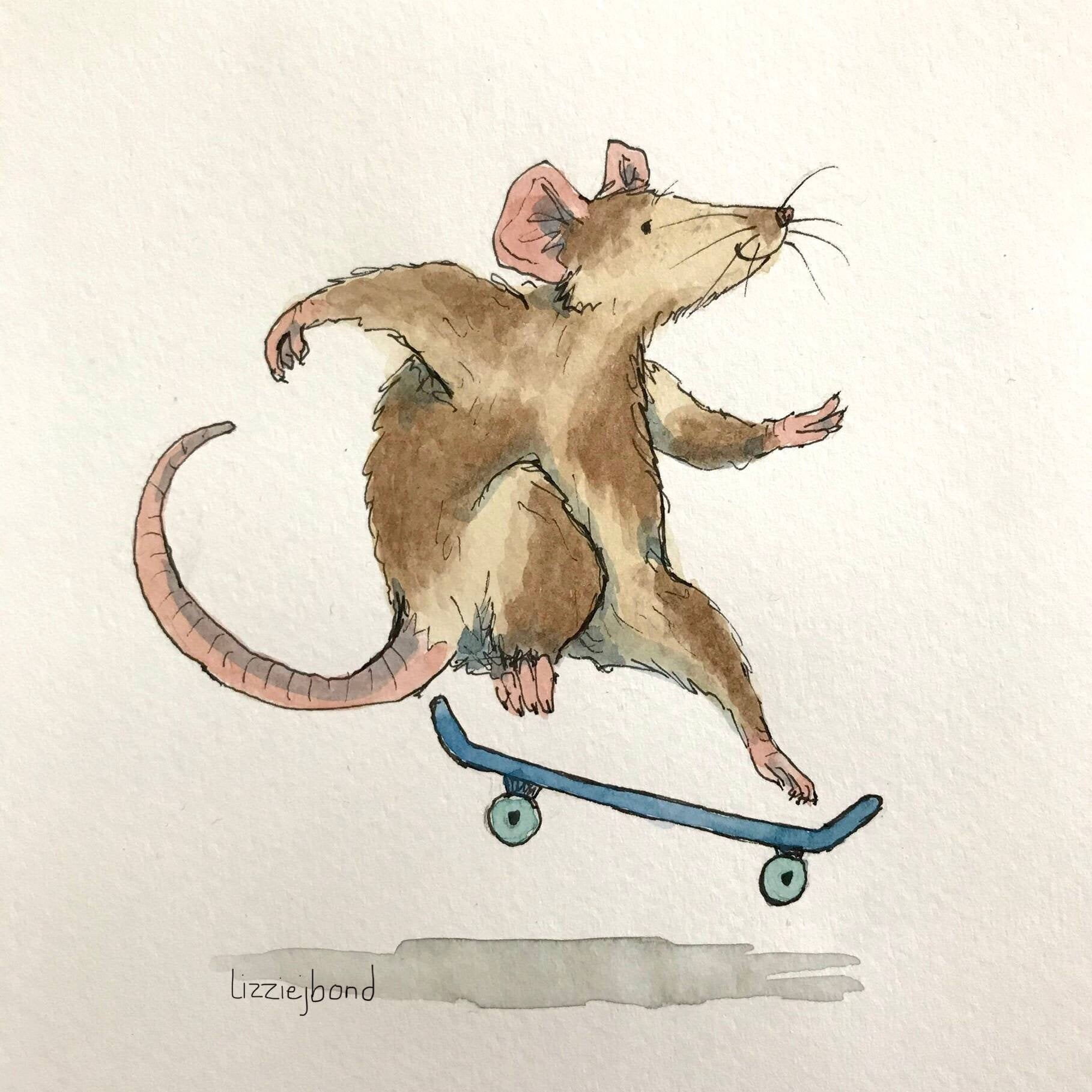 Skater Rat - Etsy