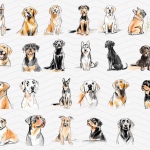 Dog Clipart Bundle, Puppy Dog Breed Clipart, Watercolor Dogs, Cute Dog ...