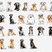 Dog Clipart Bundle, Puppy Dog Breed Clipart, Watercolor Dogs, Cute Dog ...