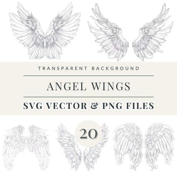 Angel Wings Vector Png