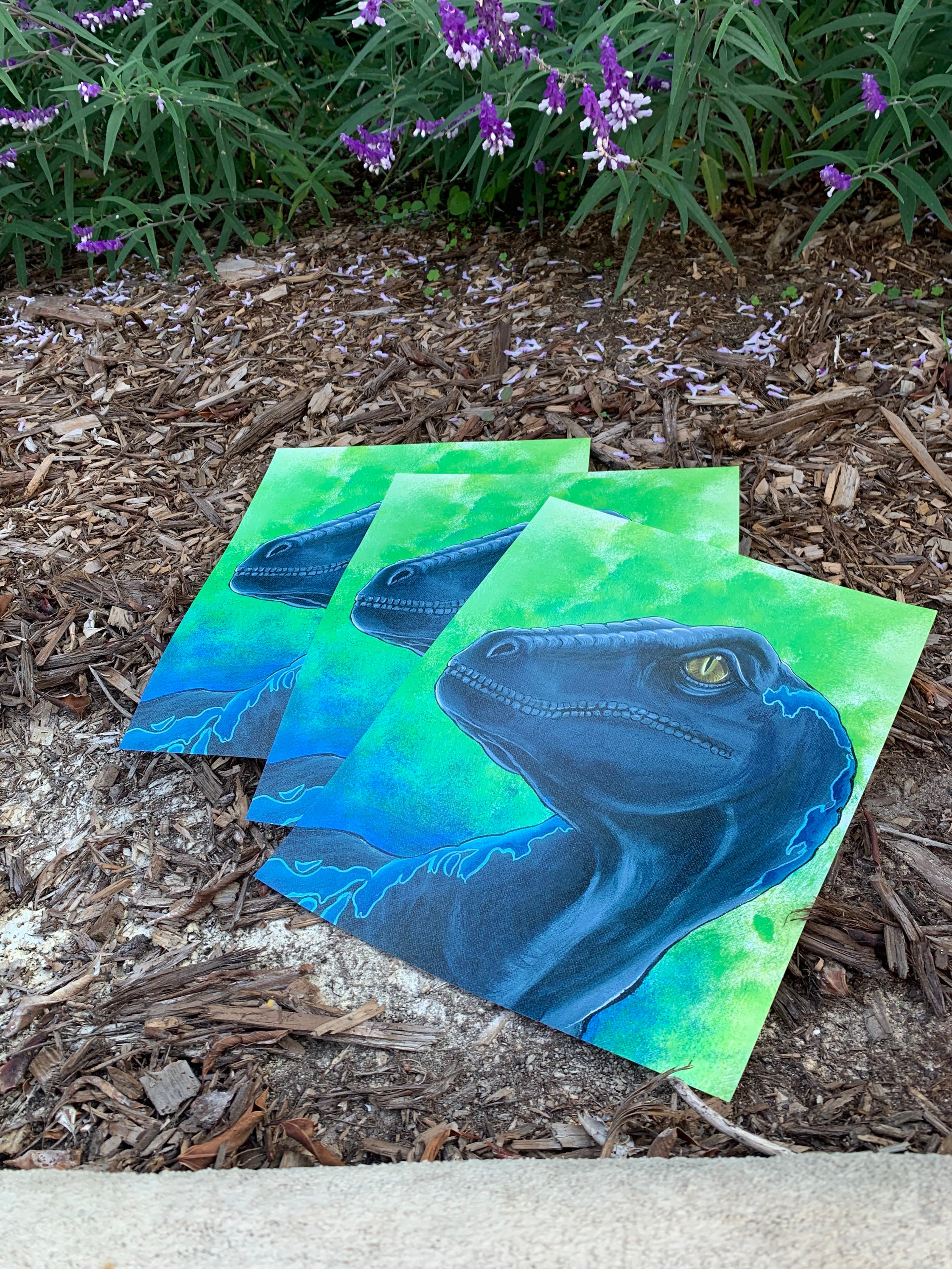 Raptor Blue - Etsy