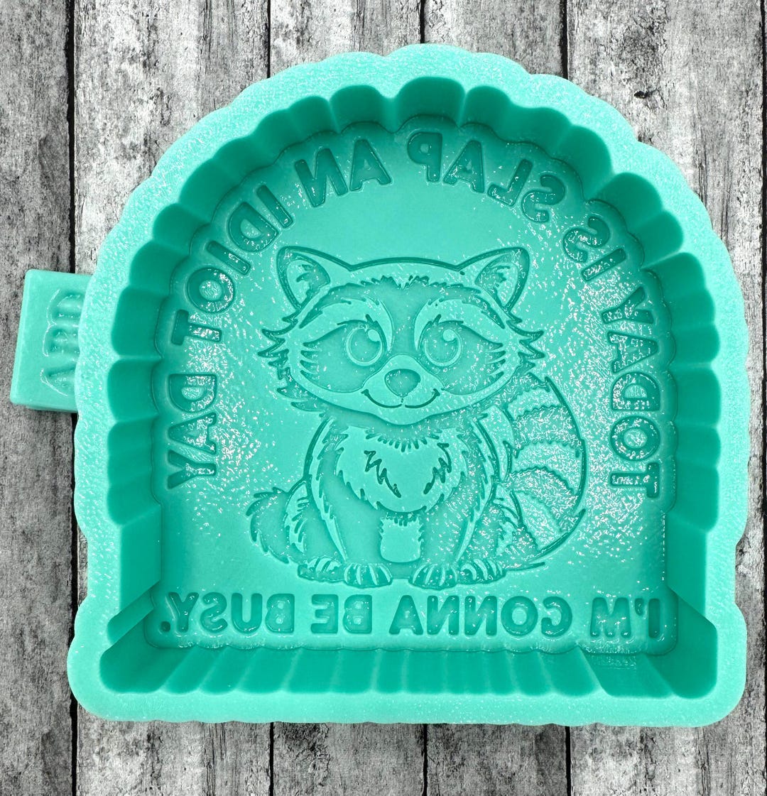 Today is Slap an Idiot Day Silicone Craft Mold Aroma Beads, Resin ...