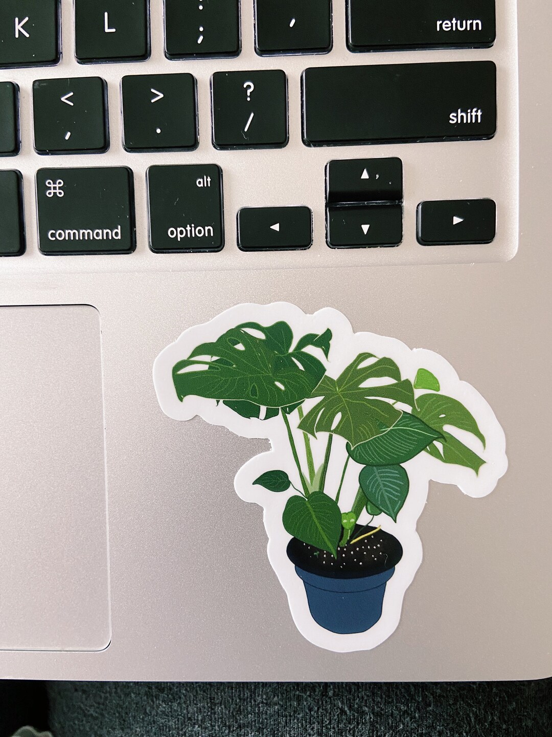 Monstera Plant Vinyl Sticker | Meet Estelle – Your New Plant BFF for ...