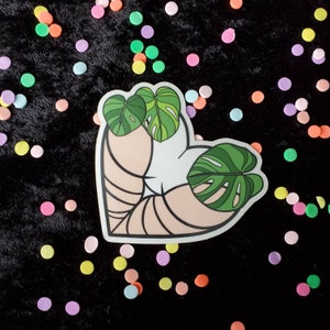 Botanicalbooty Heart Shaped Vinyl Butt Sticker || Monstera Deliciosa ...
