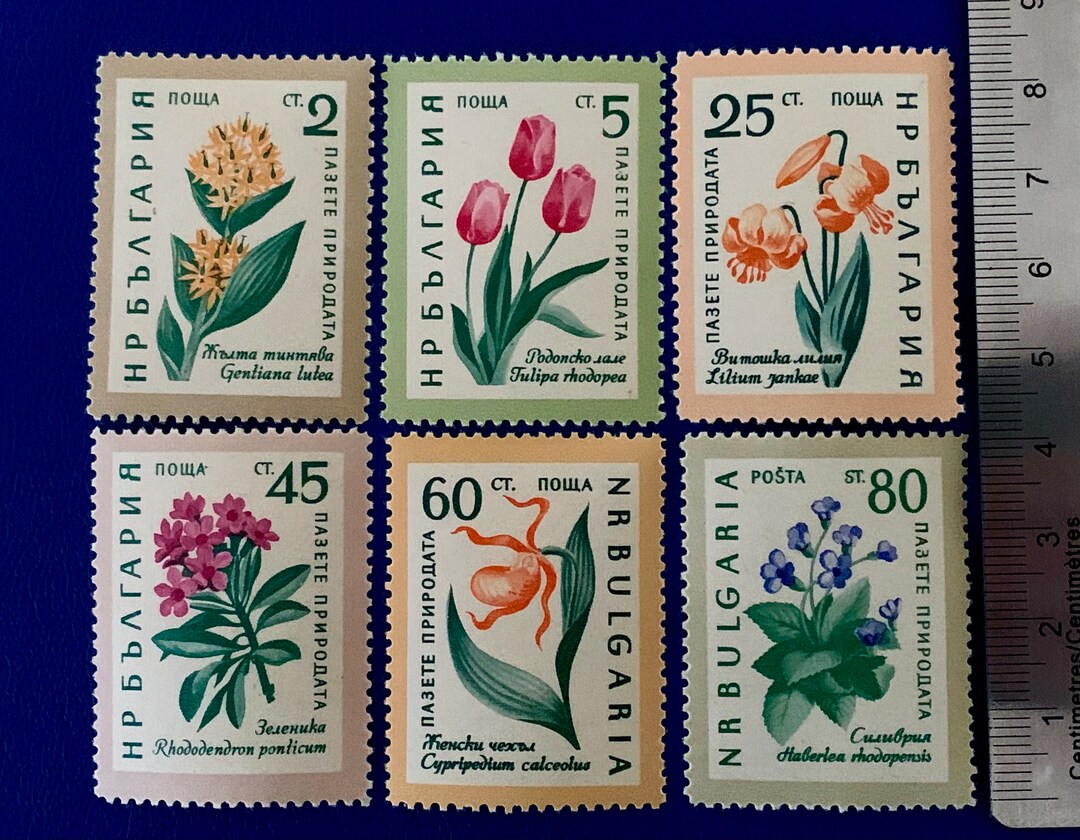 Bulgaria Original Vintage Postage Stamps 1960 Nature Conservation ...