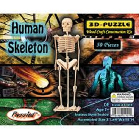 The Human Skeleton Model Wood Craft Construction Kit by 3D Puzzle with ...