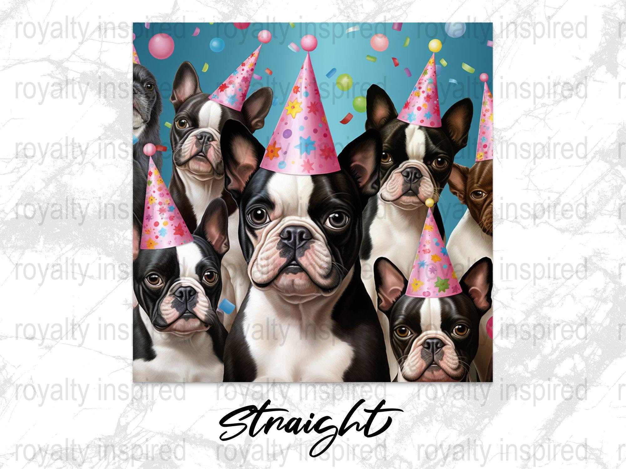 Boston Terrier Birthday Party Digital Wallpaper, Cute Dog Celebration ...