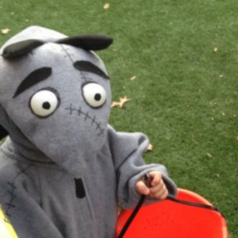 Frankenstein Dog Costume - Etsy