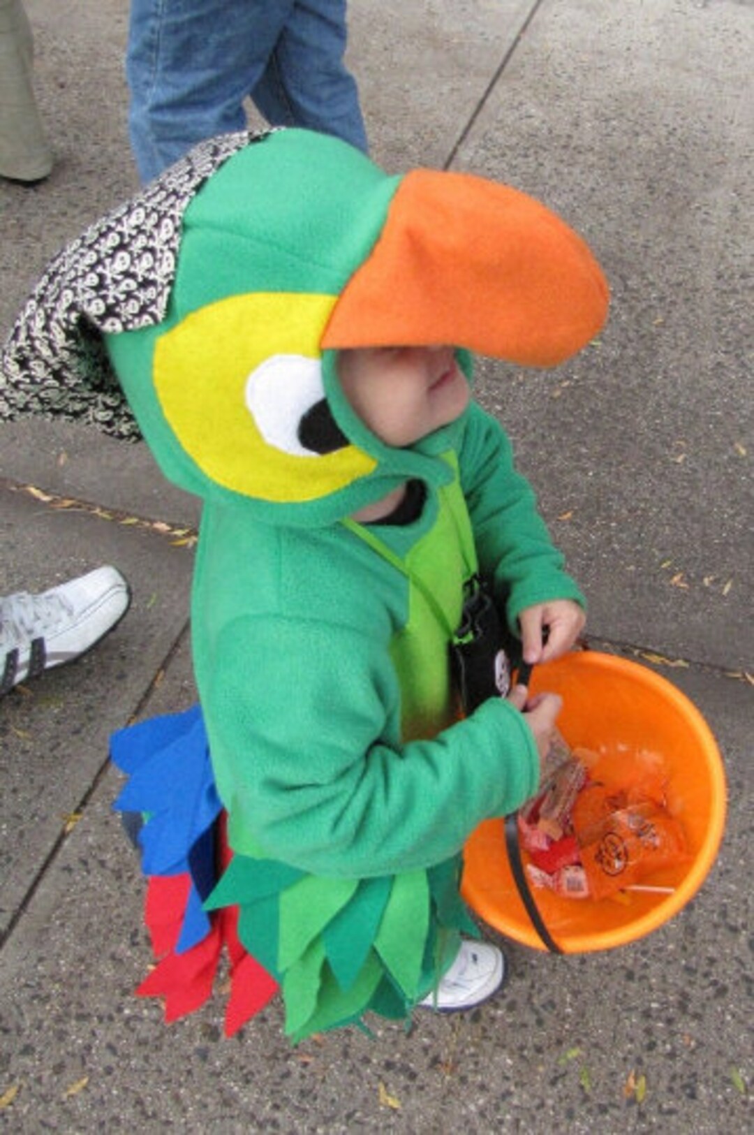 Kids Parrot Skully Scully Bird Halloween Costume in Fleece Custom Made ...