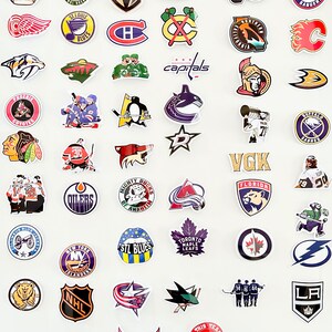 50 Hockey Stickers, Hockey Gifts for Boys, Hockey Tournament Swag for ...