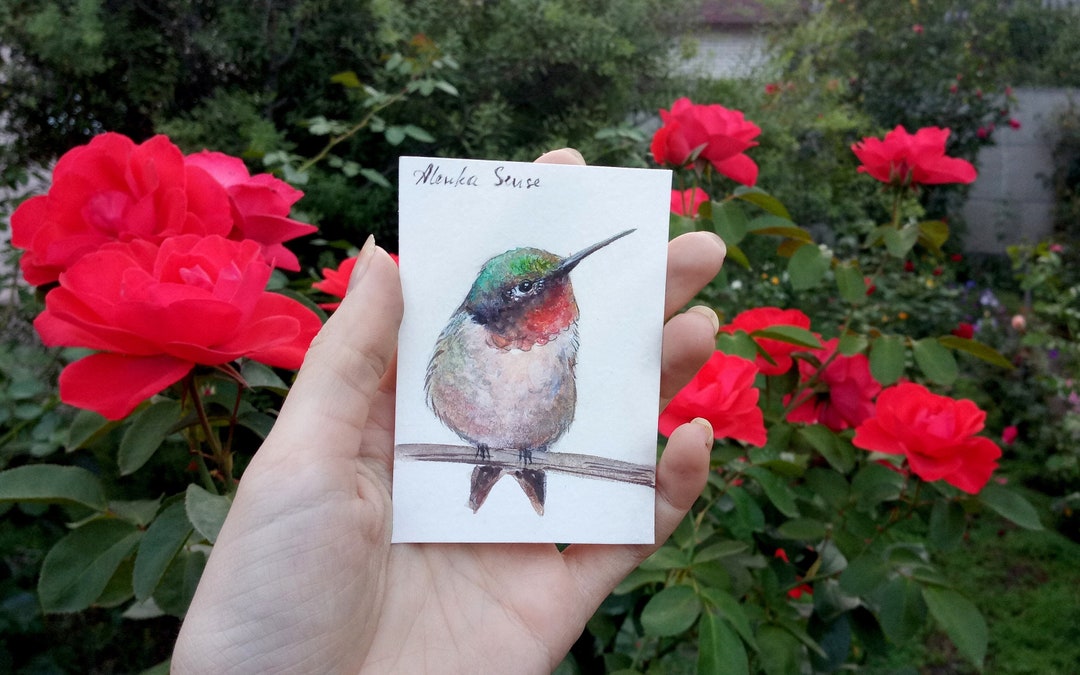 Colibri Painting ACEO Small Bird Original Watercolor Cute Hummingbird ...