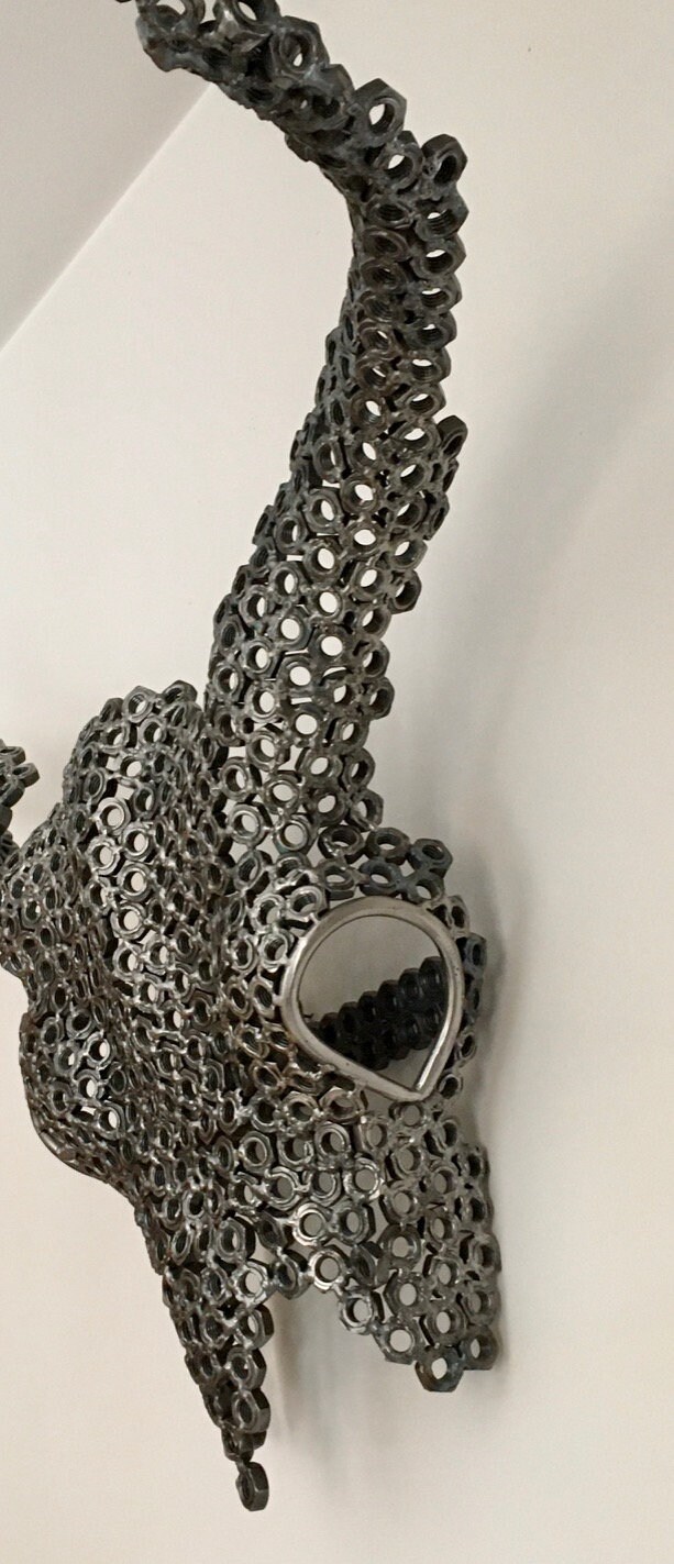 Cow Skull Welded Nuts - Etsy