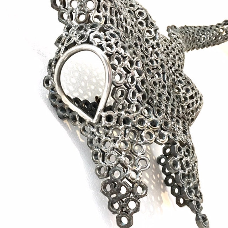 Cow Skull Welded Nuts - Etsy