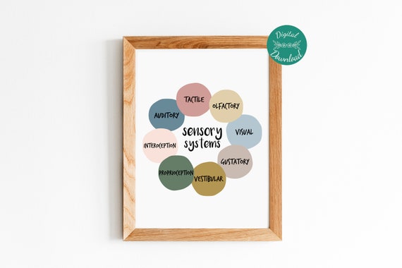 Sensory Systems Poster Educational Print Sensory | Etsy