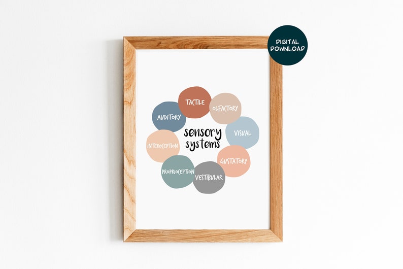 Sensory Systems Poster Educational Print Sensory - Etsy