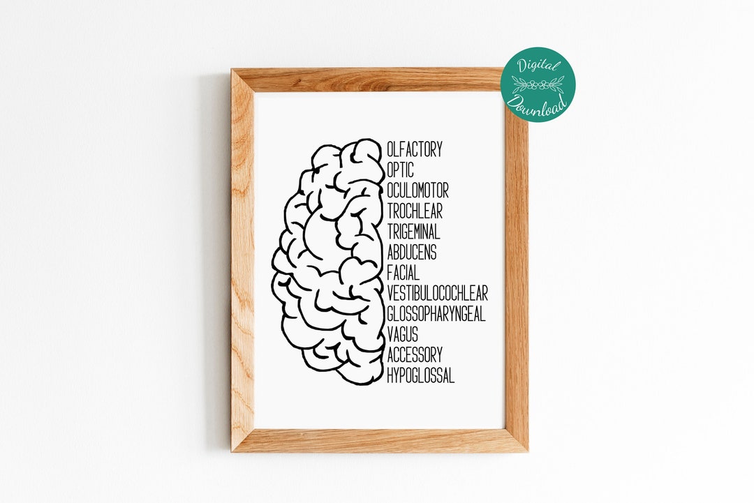 Cranial Nerves Poster, Brain Art, Digital Download, Neurology Print ...