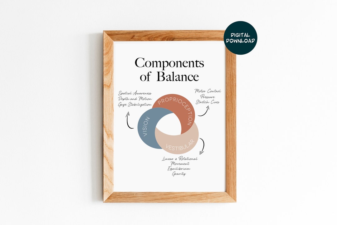 Components of Balance, Physical Therapy Poster, Vestibular Therapist ...