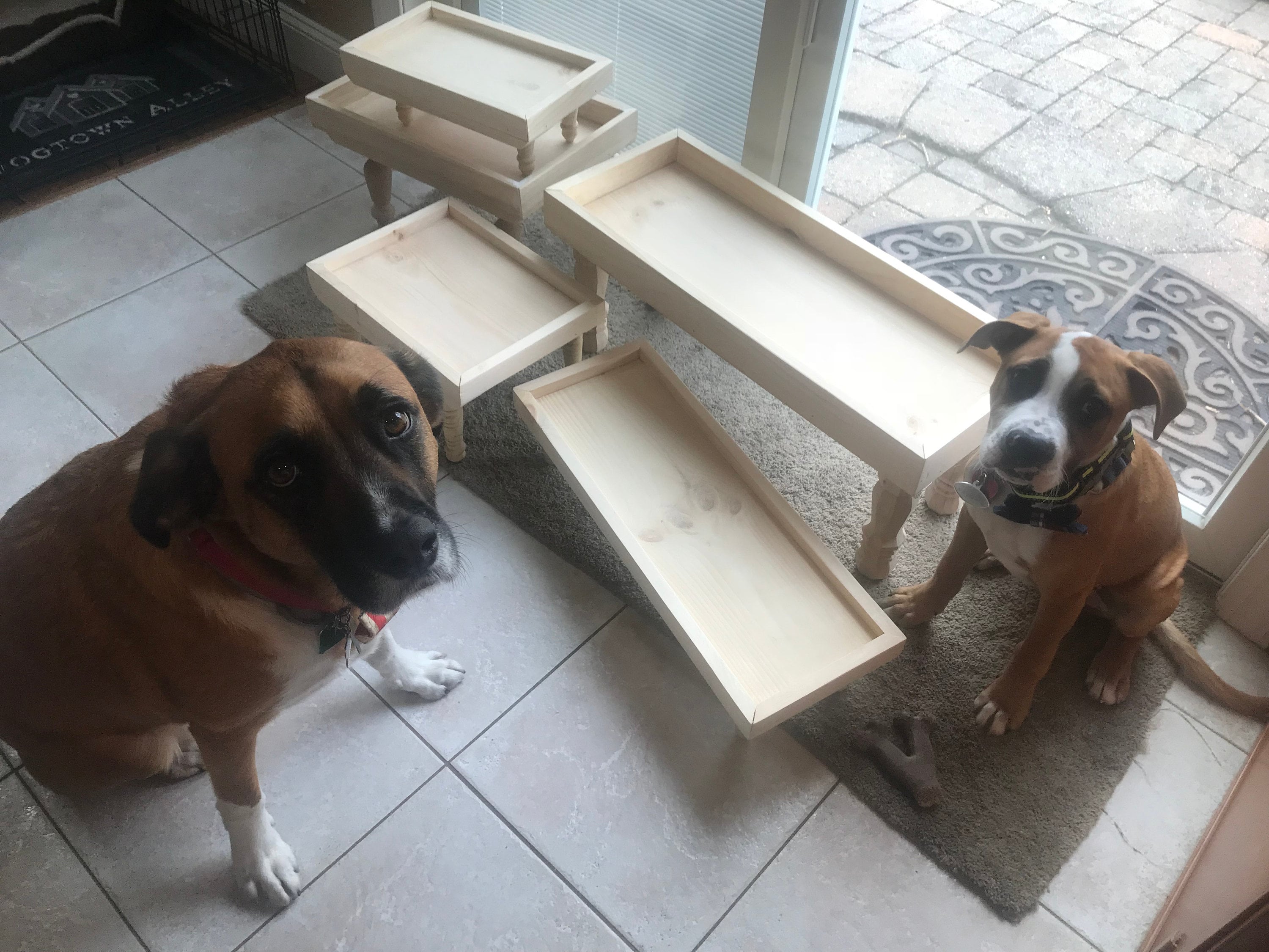 Large Standard or Double Custom Made Pet Feeding Tables, Elevated Cat ...