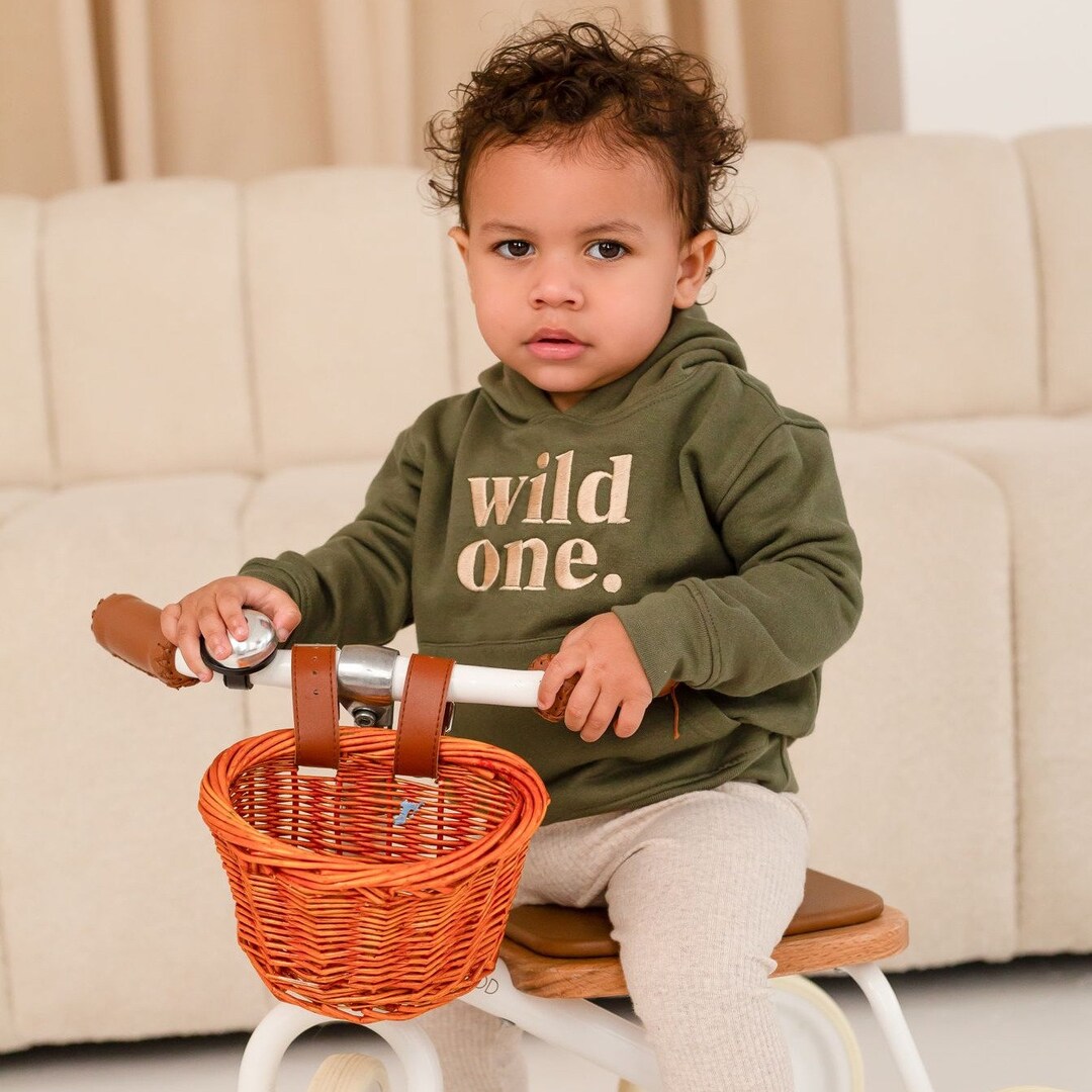 Wild One Birthday Hoodie, First Birthday, Birthday Hoodie, Wild One ...