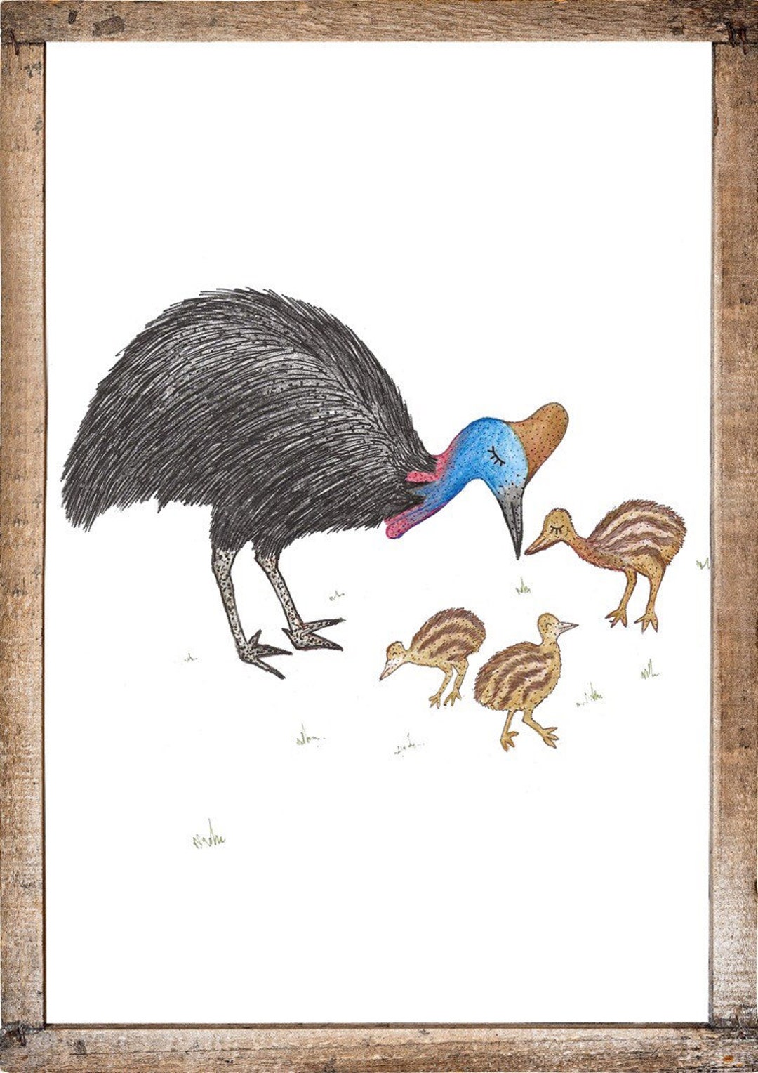 Cassowary Wall Art, Australian Animals and Birds Art Print, Nursery ...