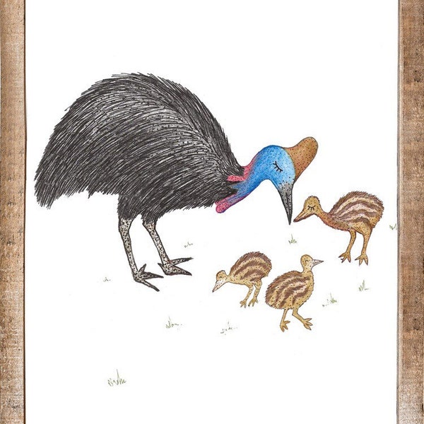Cassowary - Etsy