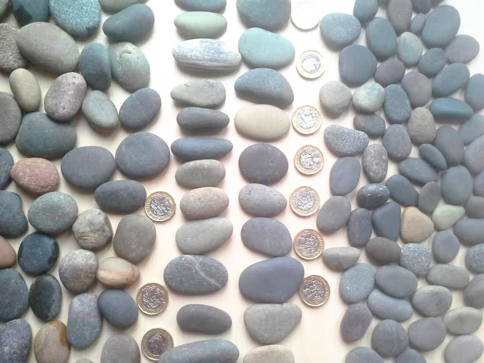 Natural Pebble Bodies Mixed Shapes Sea Pebbles River Rock - Etsy UK