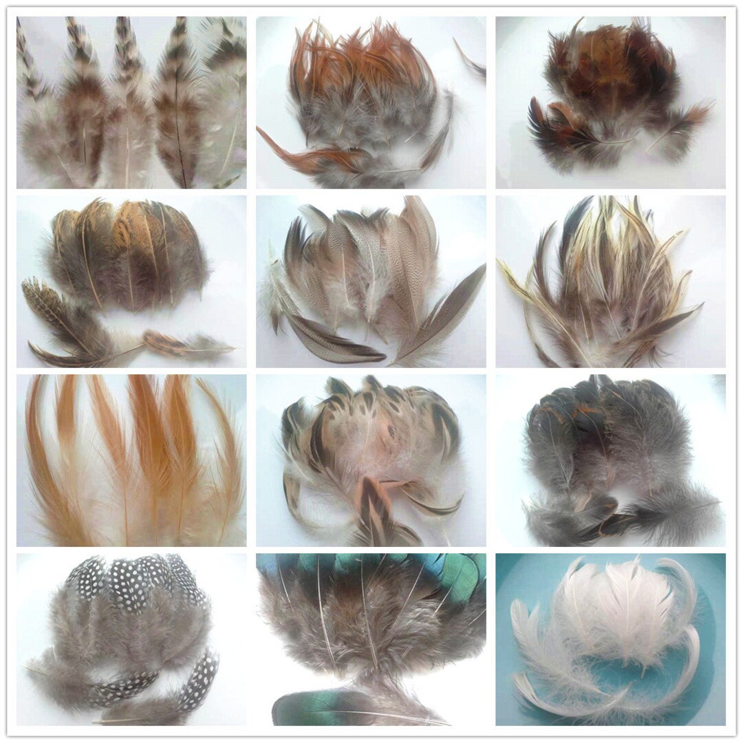 12 Natural Feathers of Different Birds,7cm to 16cm Long ,many Style ...