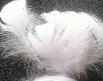 High Quality Natural Color Dyed Goose Feathers 100pcs/lot 13-18CM 5 ...