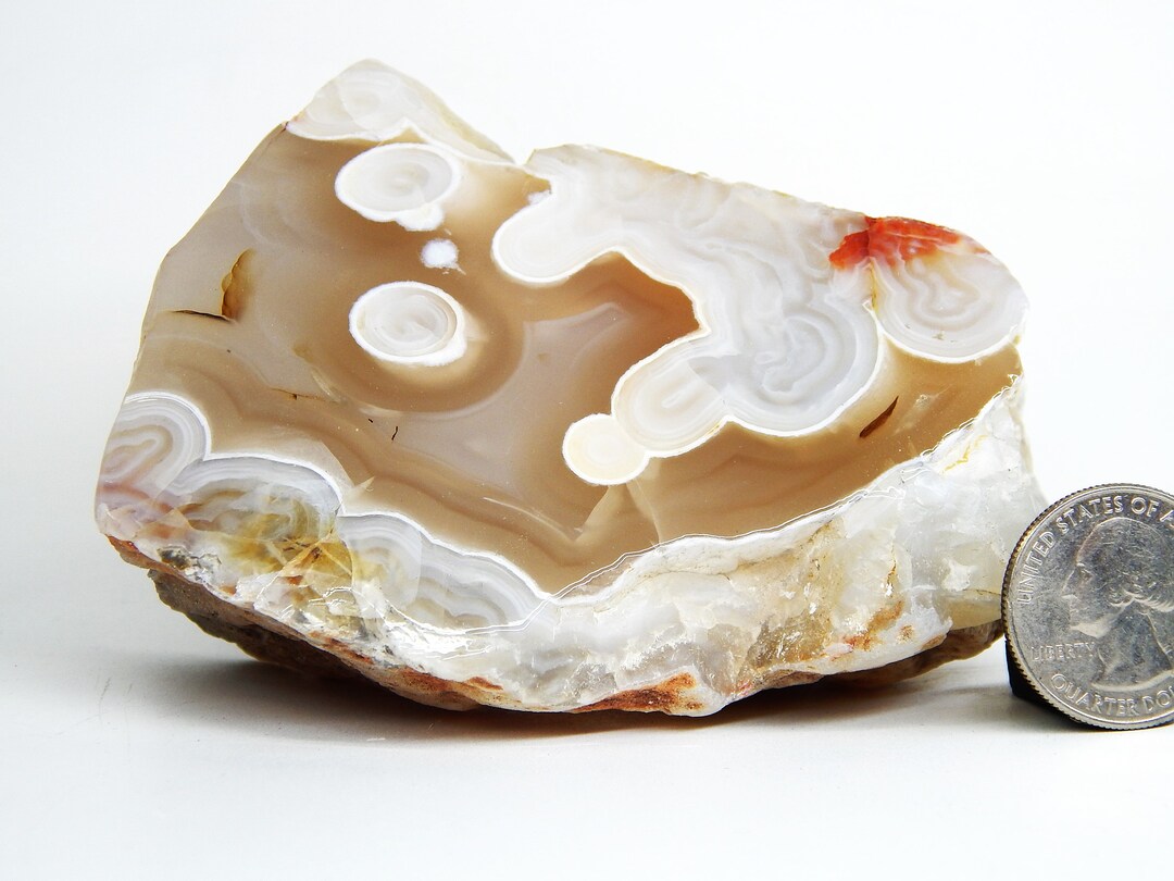 Cabinet Size Ochoco Tube Agate From Oregon - Etsy