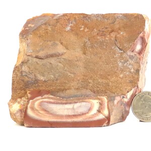 Large Felsic Rhyolite a Wonderstone Specimen - Etsy