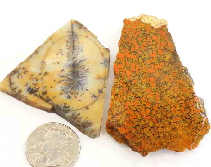 Two Agate Slices for Lapidary - Dinosaur Bone and Dendrite Agate - Etsy