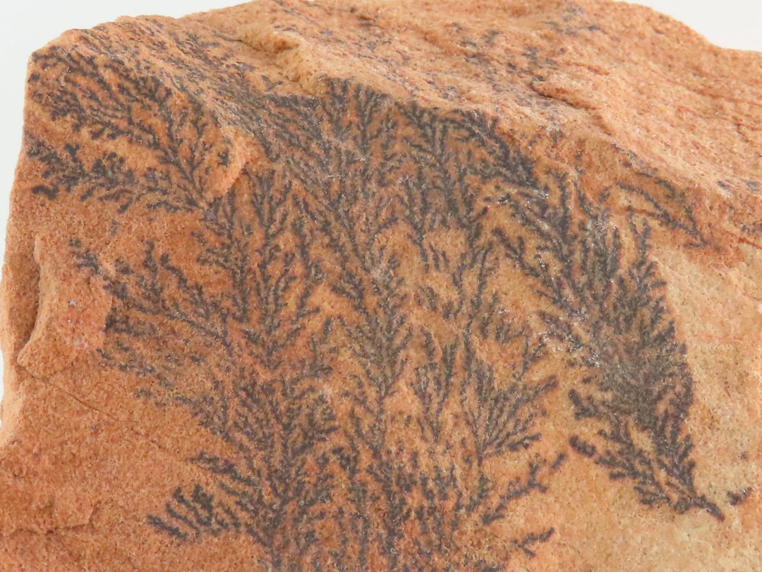 Red Sandstone Pseudomorph Manganese Dendritic Specimen - Etsy