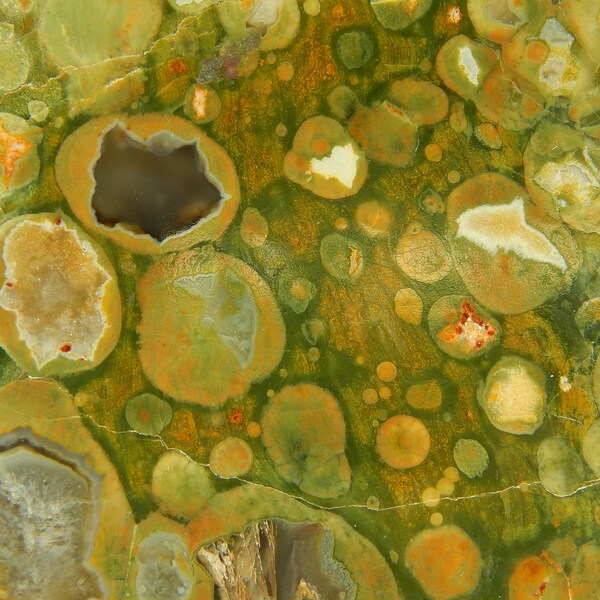 Jasper Rainforest - Etsy