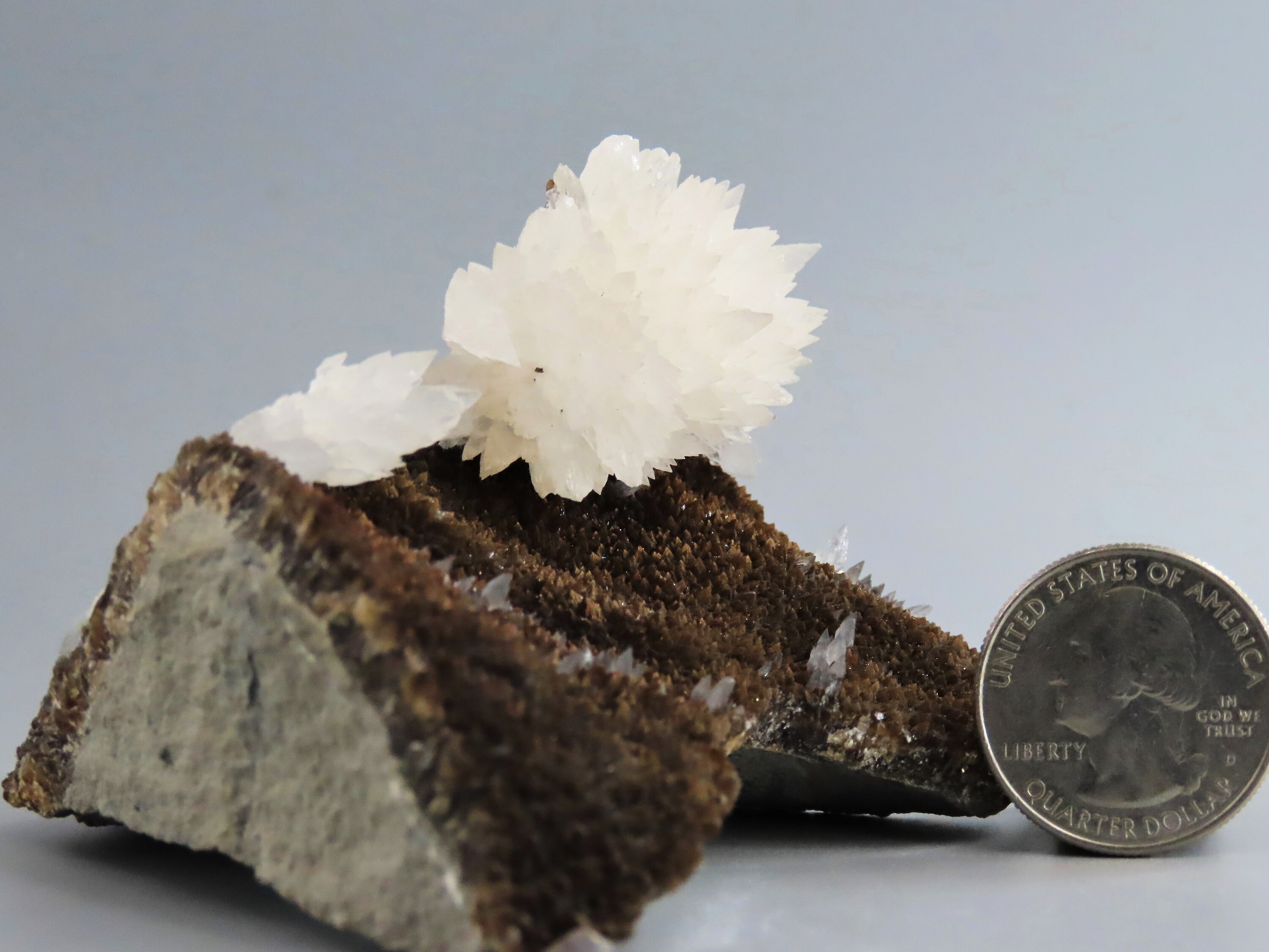 Colorless Calcite Crystals With Root Beer Calcite Crystals - Etsy