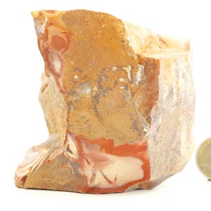 Large Felsic Rhyolite a Wonderstone Specimen - Etsy