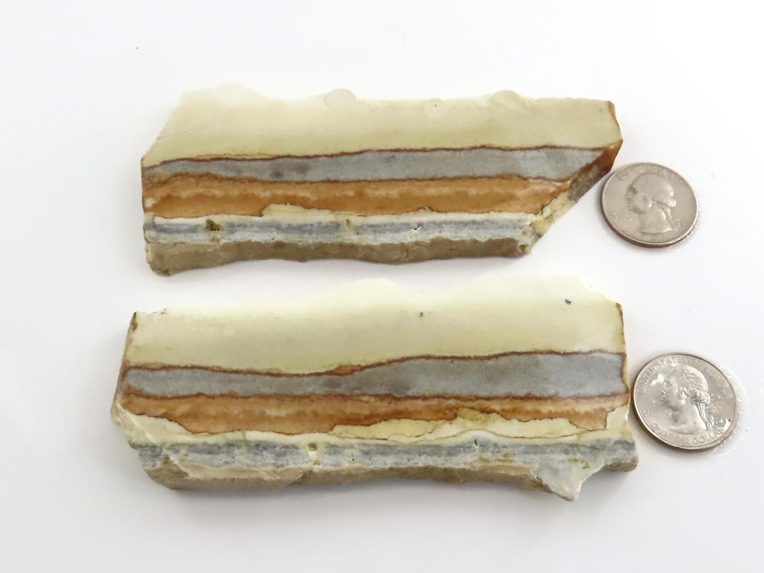 Two Chicken Track Picture Jasper Slices for Lapidary - Etsy