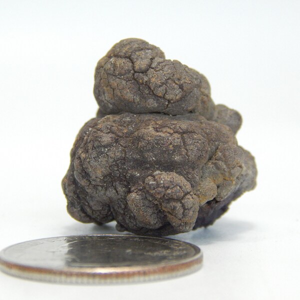 Dinosaur Dung - Etsy