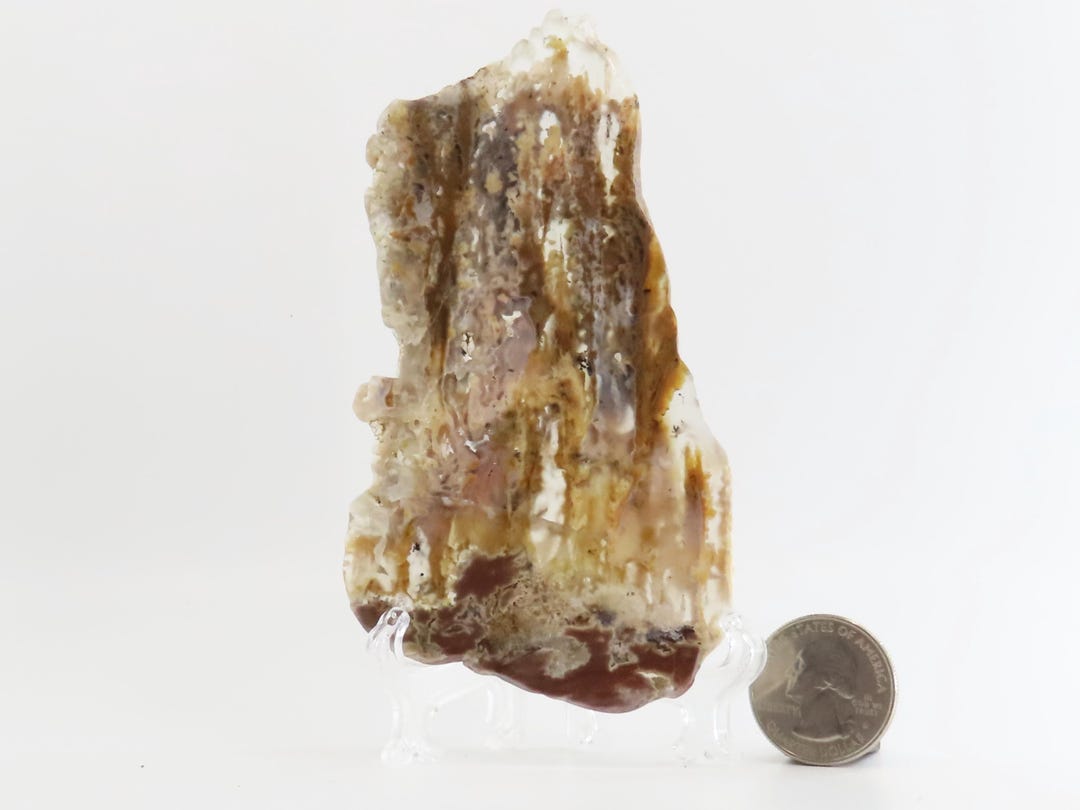 Polished Slice of Stalactites From a Cave System - Etsy
