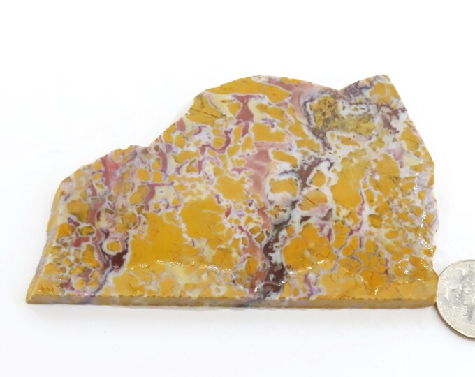 Stone Canyon Brecciated Jasper Slice for Lapidary - Etsy