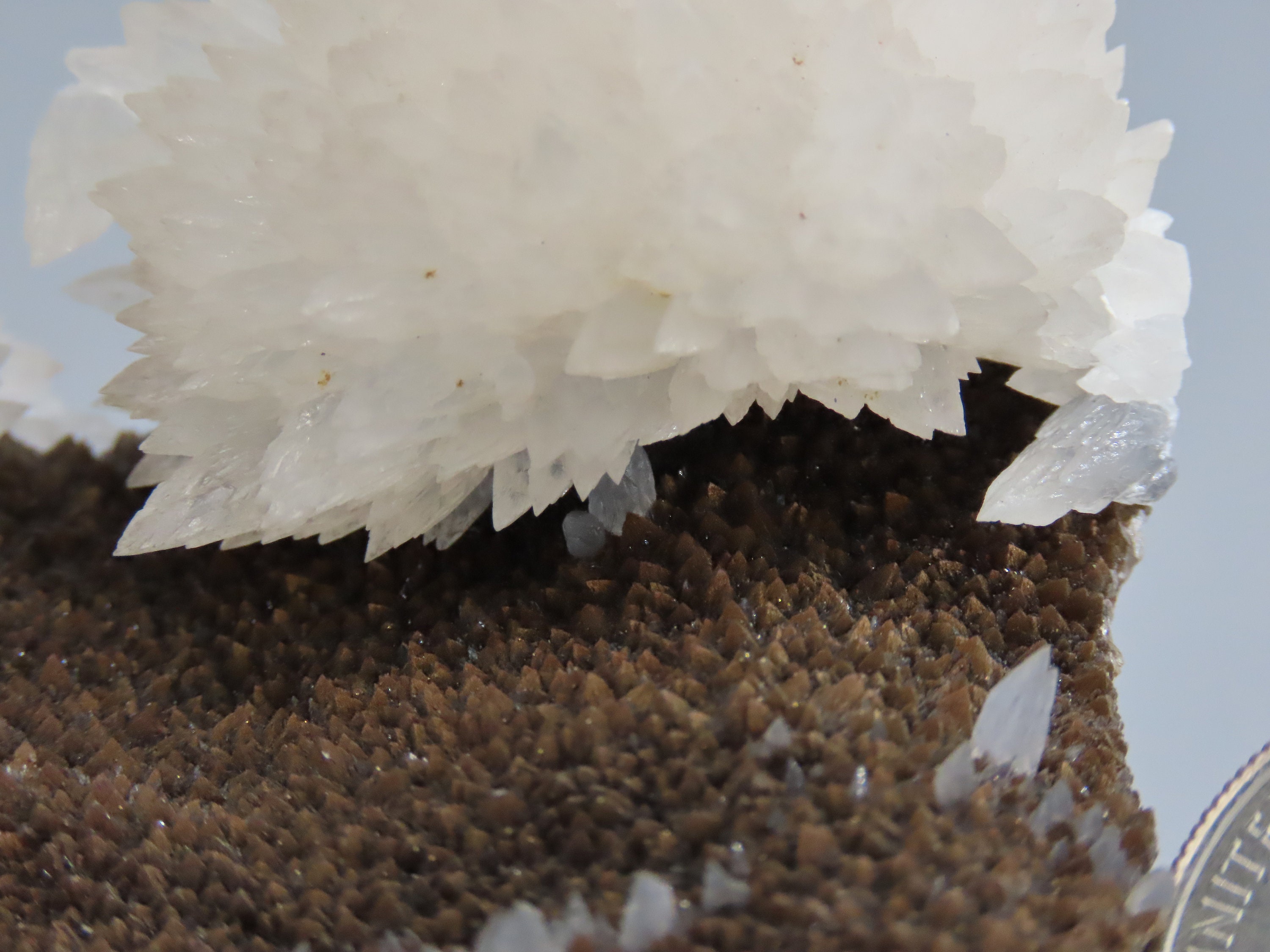 Colorless Calcite Crystals With Root Beer Calcite Crystals - Etsy